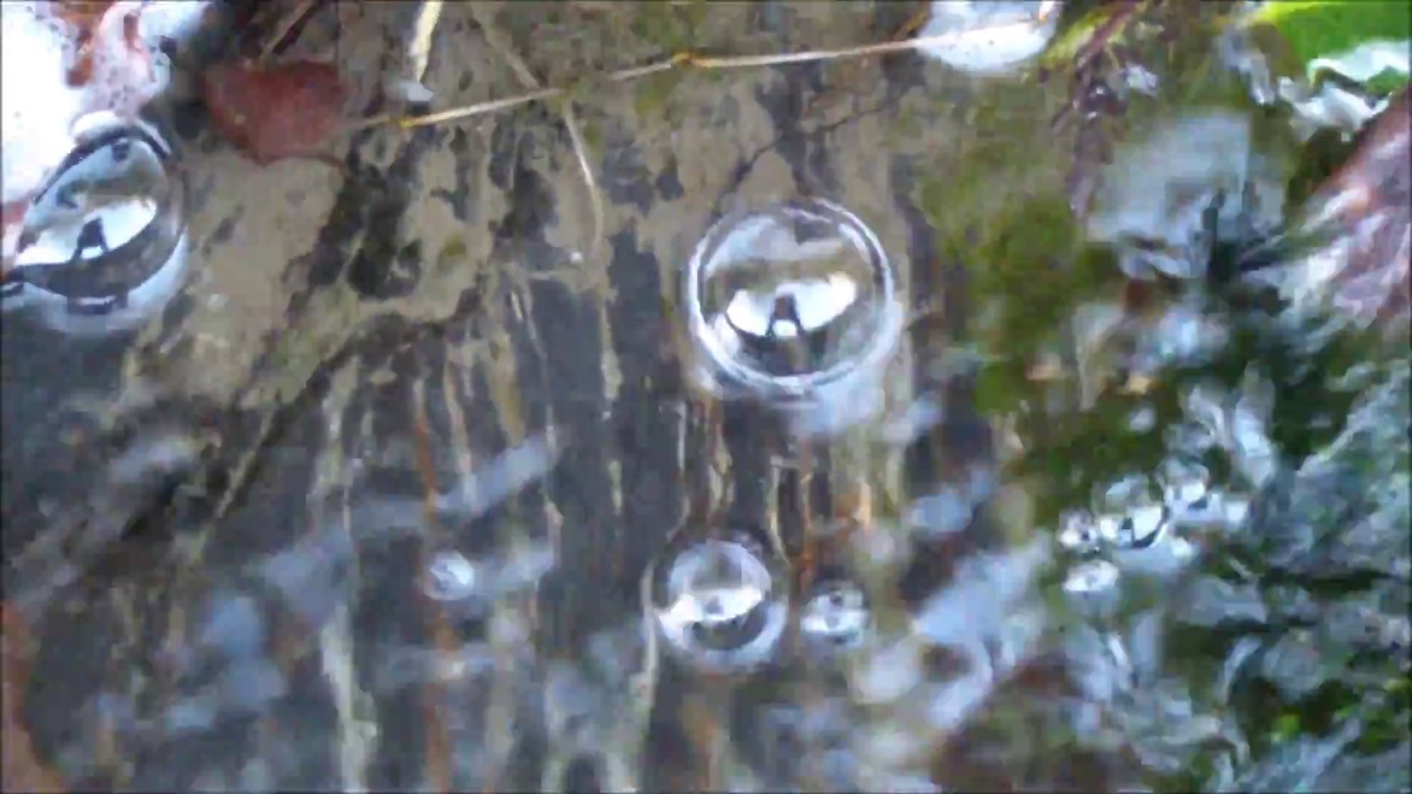 Nature - Bubbles - YouTube