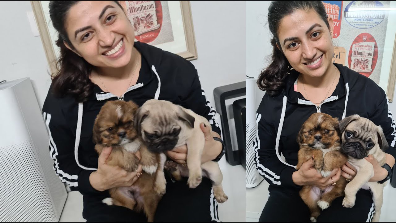 Meet Our Kids… The New Members of Our Family… | Prateek Rathee - YouTube