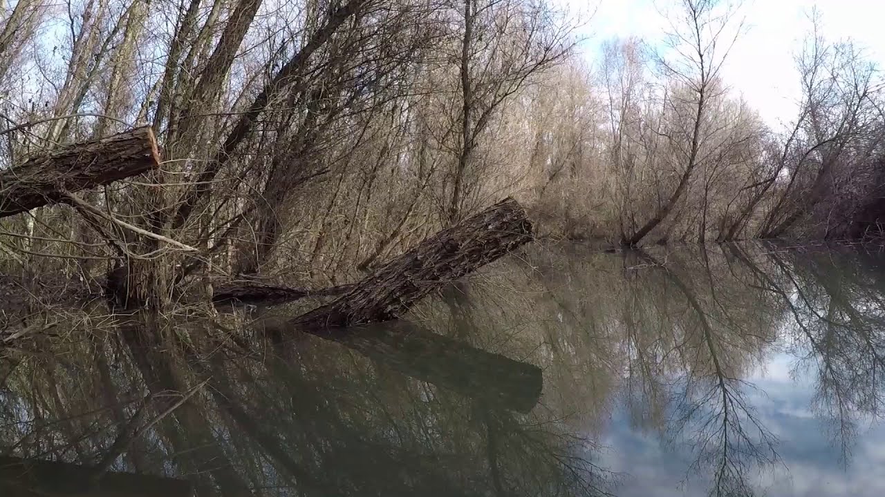 Magnificent day on the water - YouTube