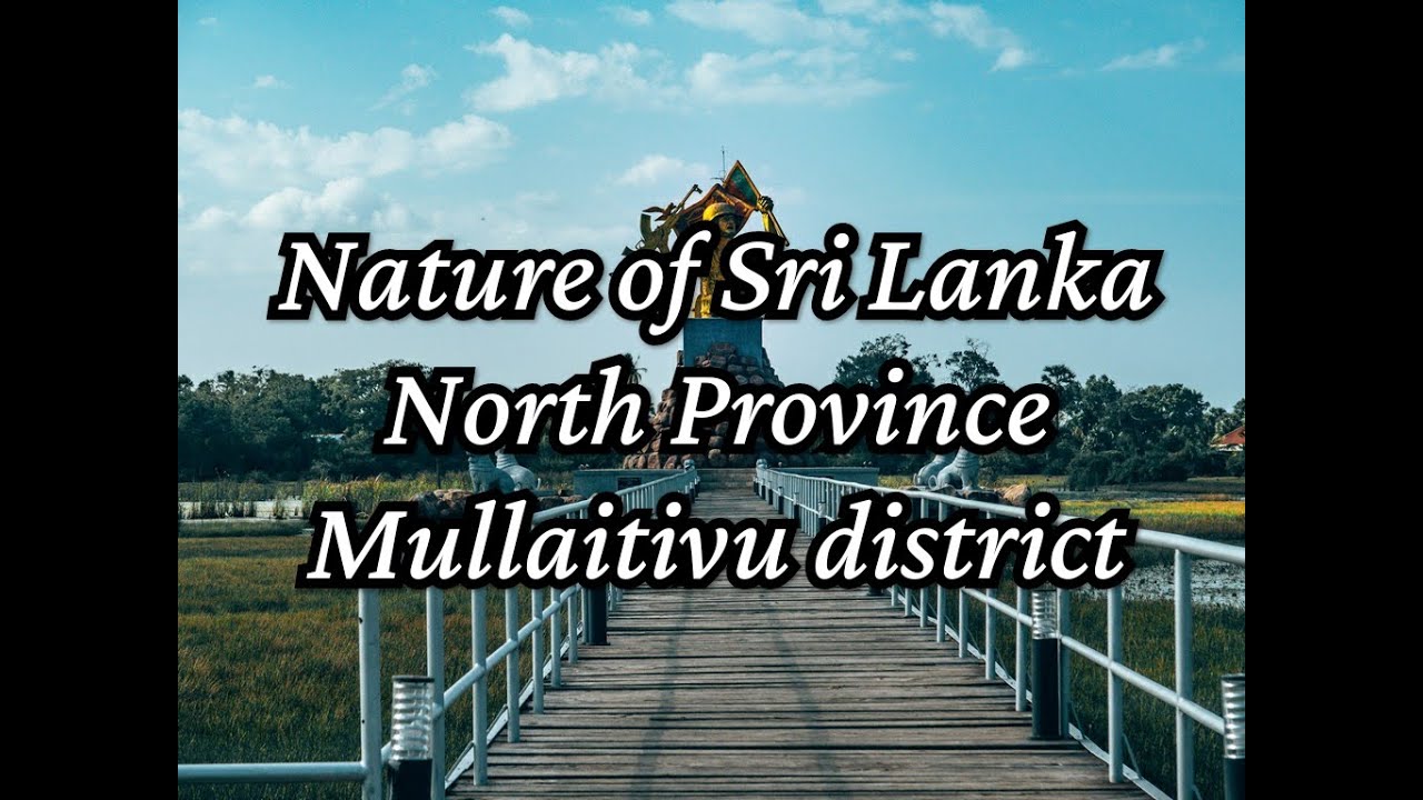 Nature of Sri Lanka ️ [North Province] (Mullaitivu district) - YouTube