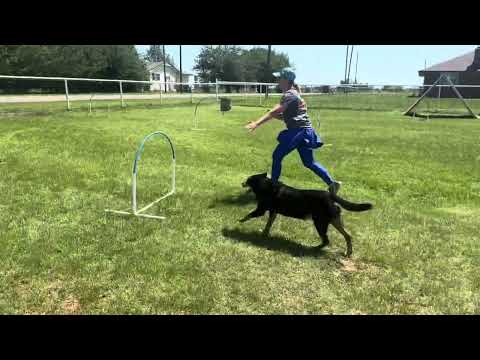 Open Grounders 1, Skilled Vet, Finn (24-12086), Jodi Delgado, Timbit
