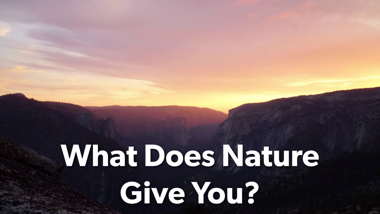 Give Back To Nature / Devolvele Algo a la Naturaleza - YouTube