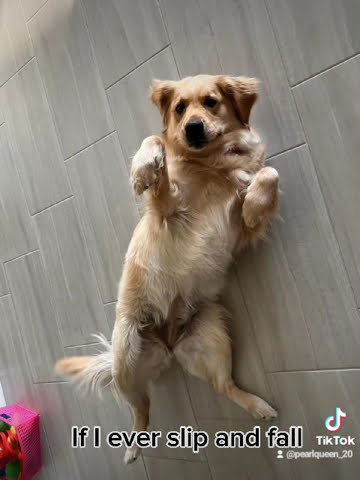 Left foot, Right foot Levitating🎶🎵 - YouTube