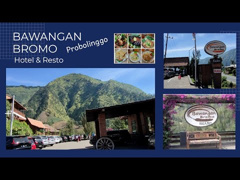 Bawangan Bromo Hotel & Resto, Tempat yg Instagramable... - YouTube