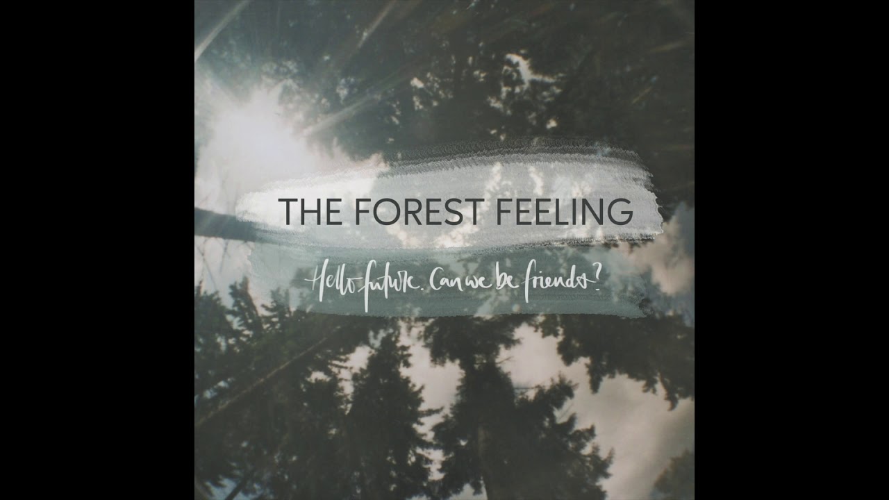 The Forest Feeling - Belong Behave Negotiate (Official Audio) - YouTube