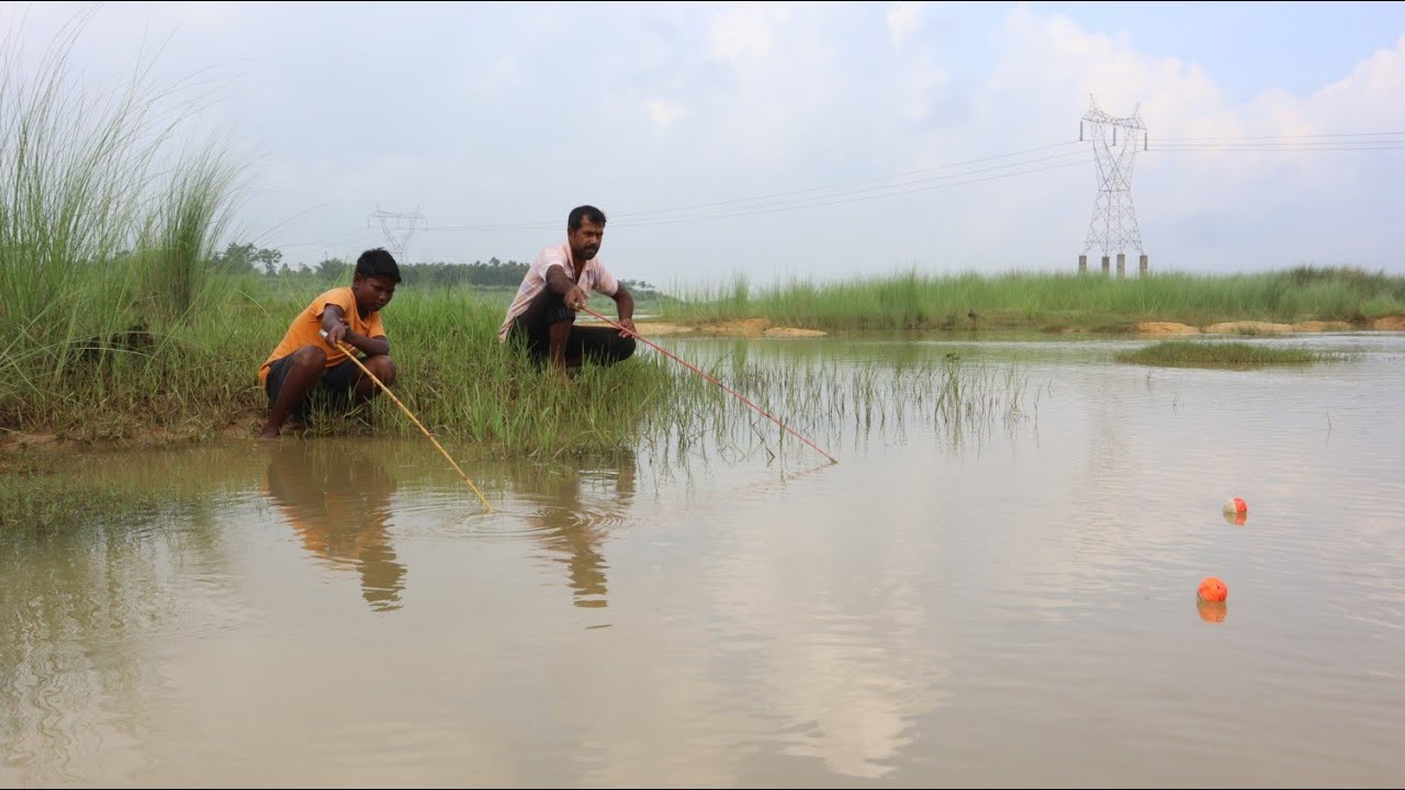 Fishing video || catching big fish in using small fish in village river ...
