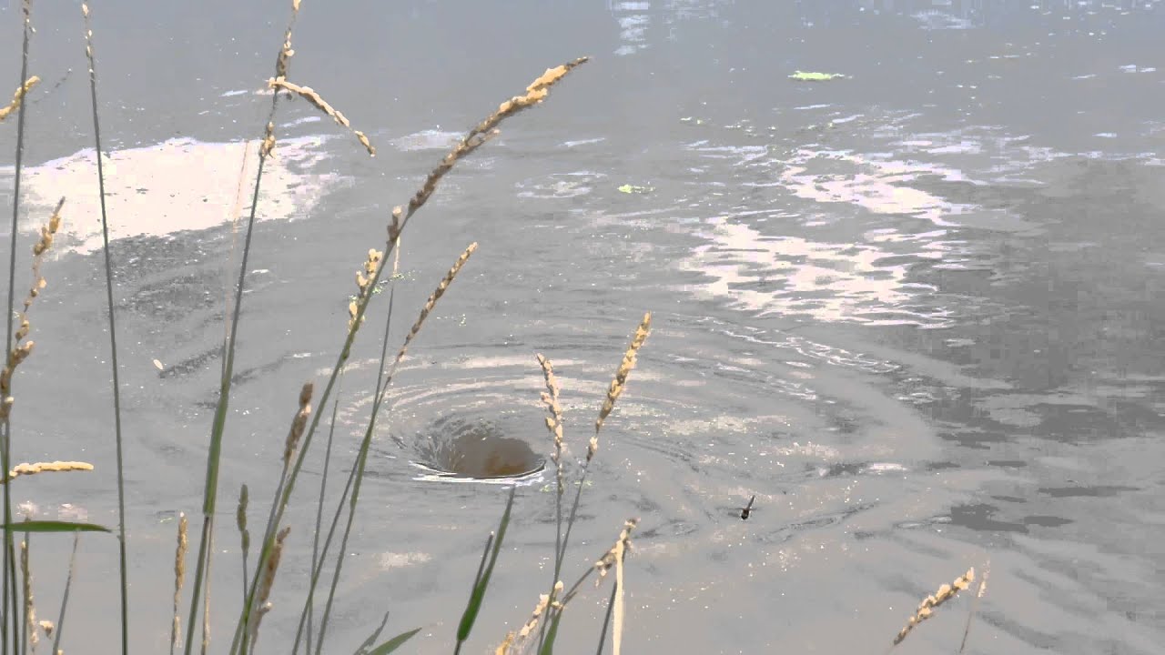 Whirlpool in Illinois Lake Part 1 - YouTube