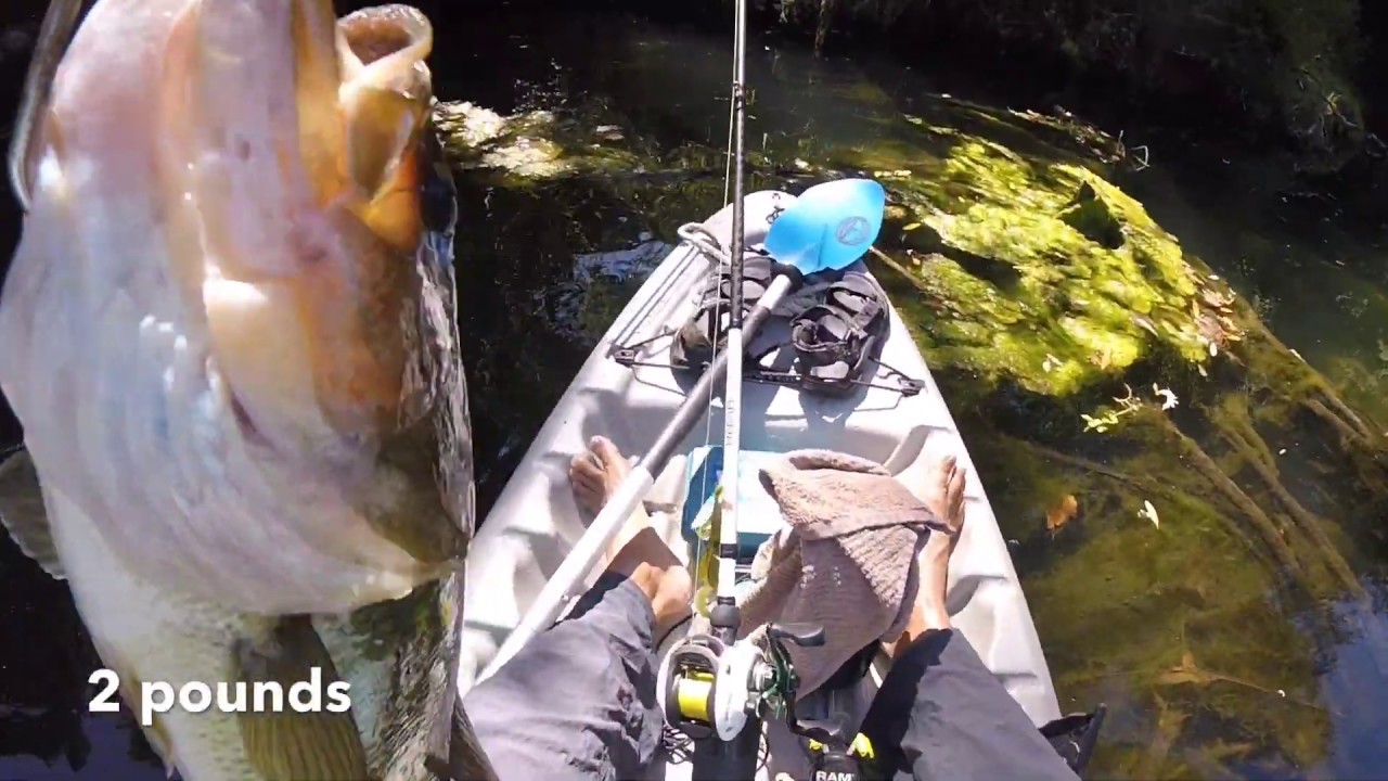Summer Kayak fishing on the Napa River - YouTube