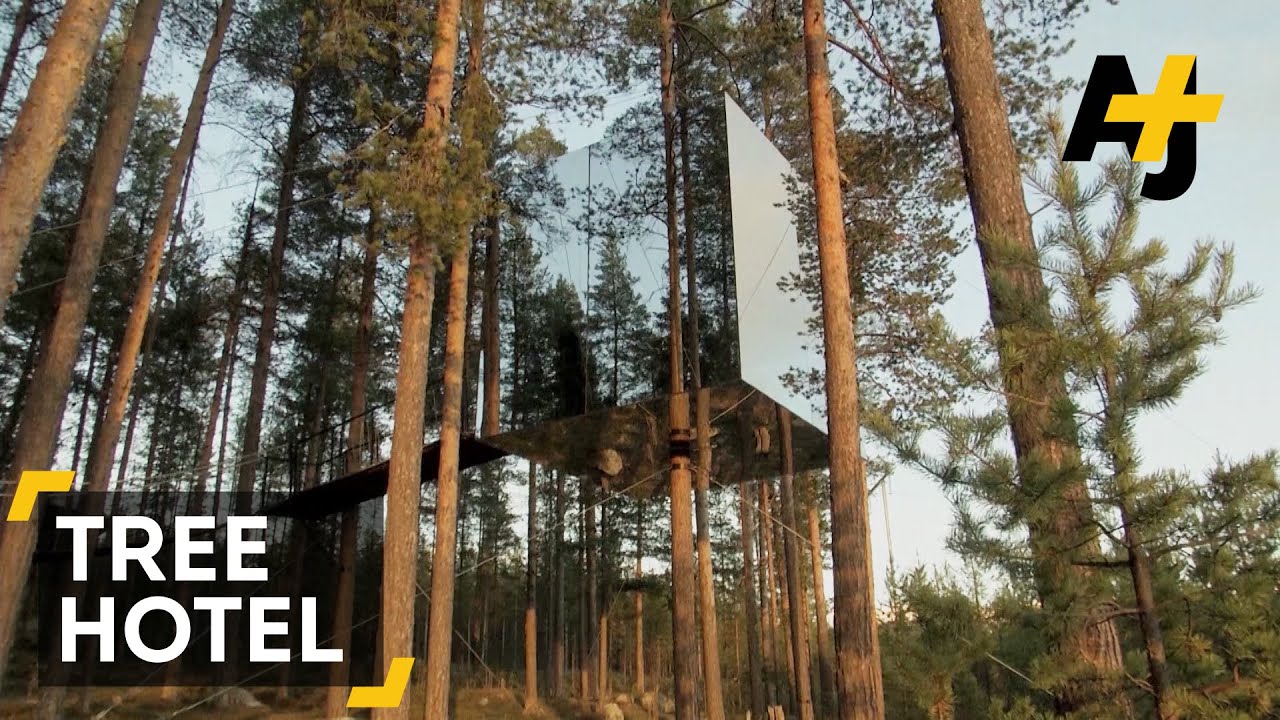 A Tree Hotel Made Of Six Unique Cabins - YouTube