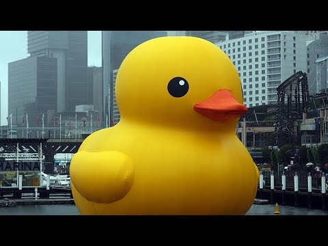 Rubber Duck 🗿 (I am 8 months late 🔥🗣🗣🗿💀) - YouTube