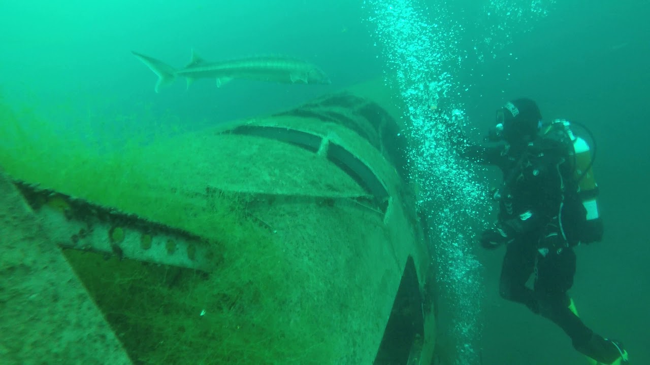Sturgeon encounter at Capernwray quarry 4K - YouTube