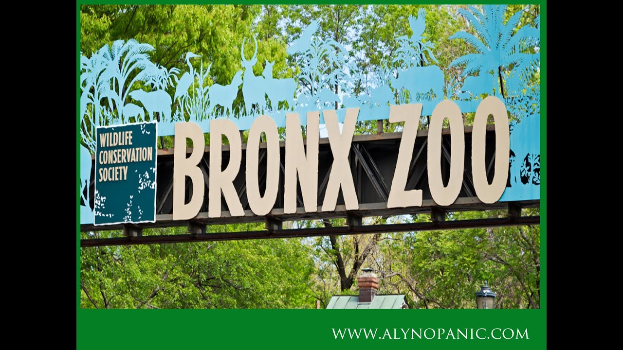 Bronx Zoo Trip - YouTube