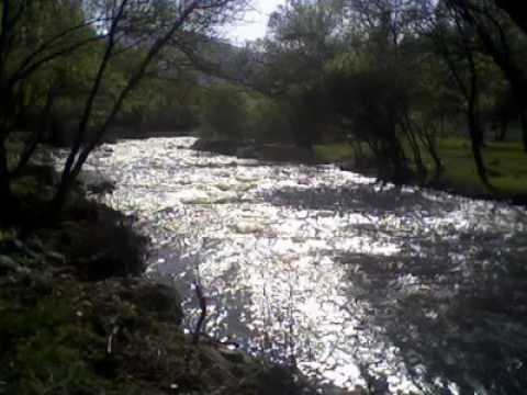 Oltulu Erol Başar-Nedim Ana