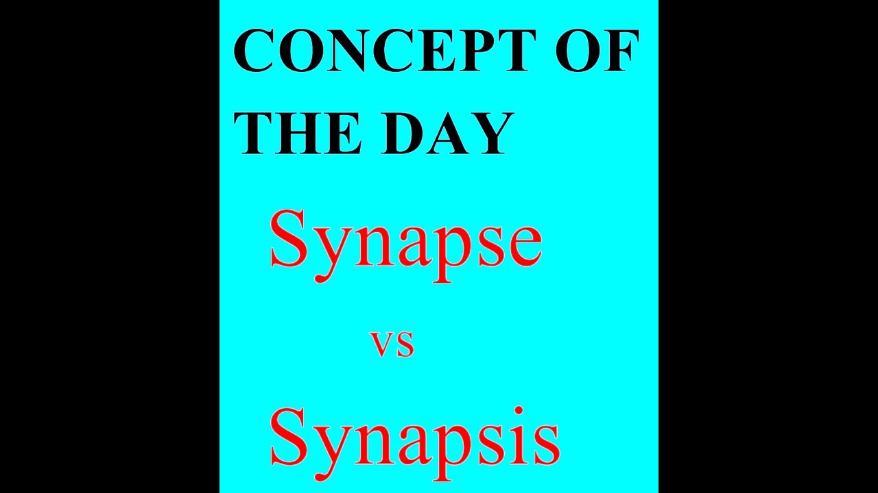 Zoology. What is difference between synapse and synapsis - YouTube