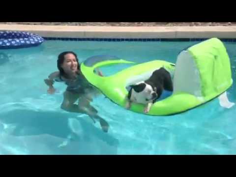 Barney AKA Captain Barnacle in the pool - YouTube