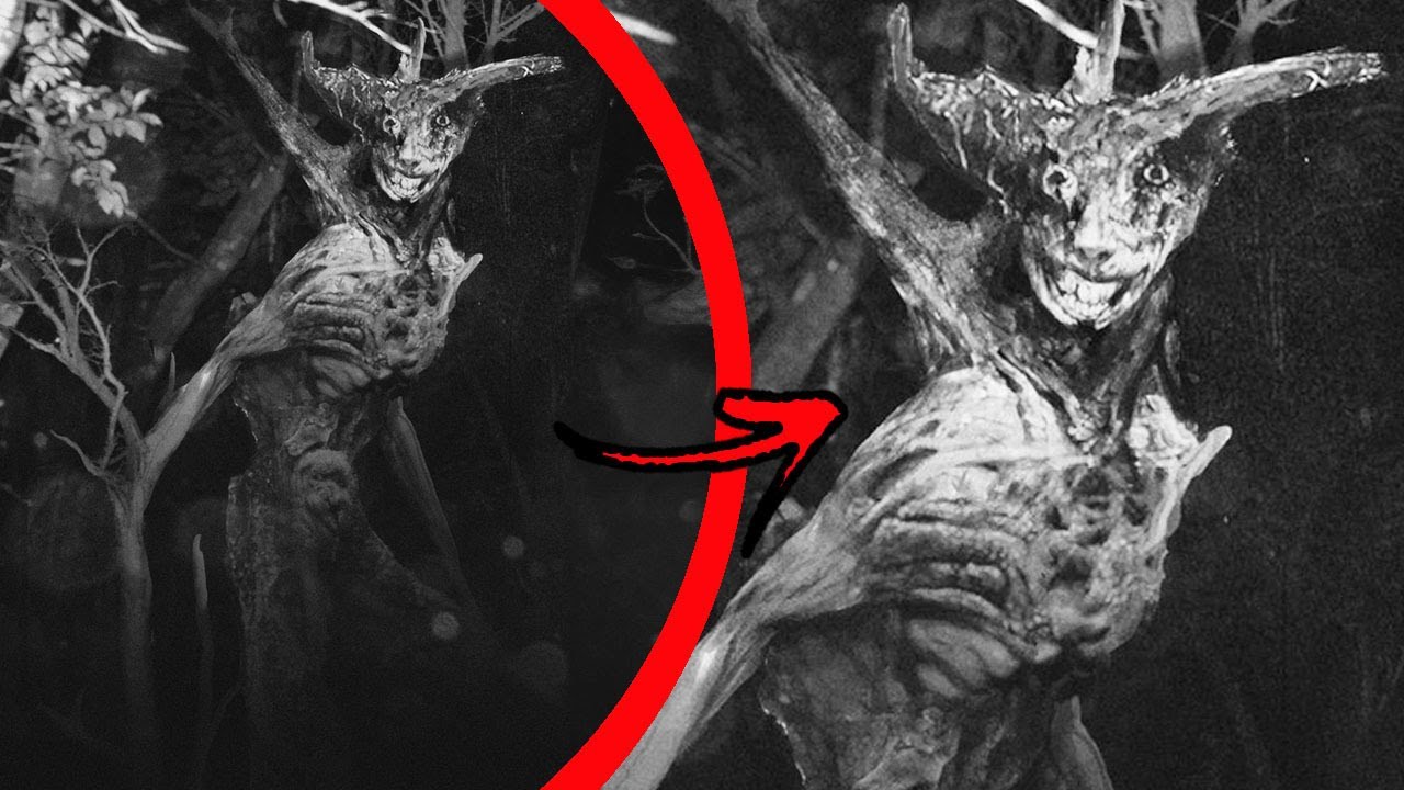 Top 5 Unsettling Skinwalker Evidence The Government Tried To Hide - YouTube