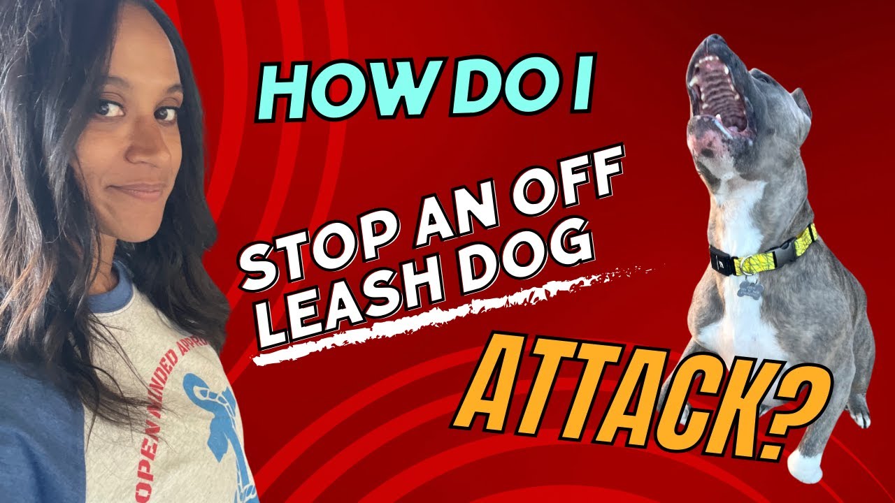 Stop Off leash Dog Attacks!! - YouTube