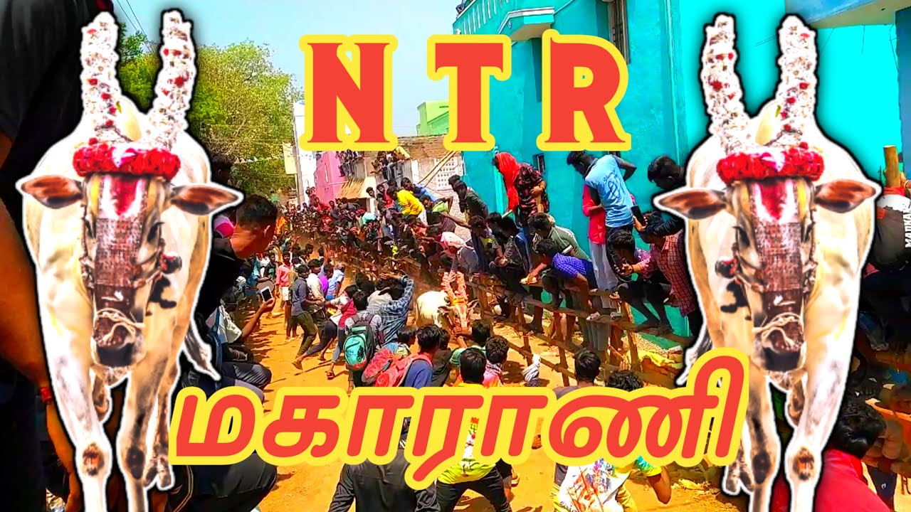 NTR Maha Rani mass running || என் டி ஆர் மகாராணி || Love King Editing ...