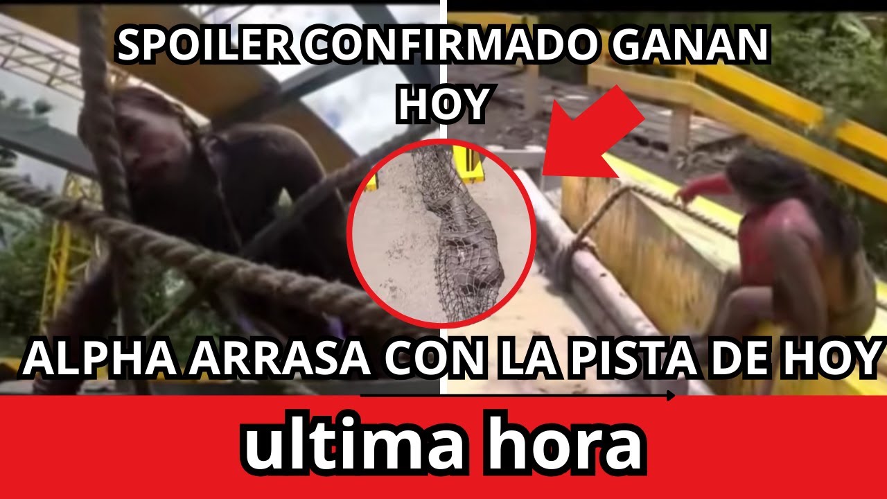 ¿VICTORIA ASEGURADA? ALPHA TENDRÍA EL LIDERAZGO DE EL BOX AMARILLO ...