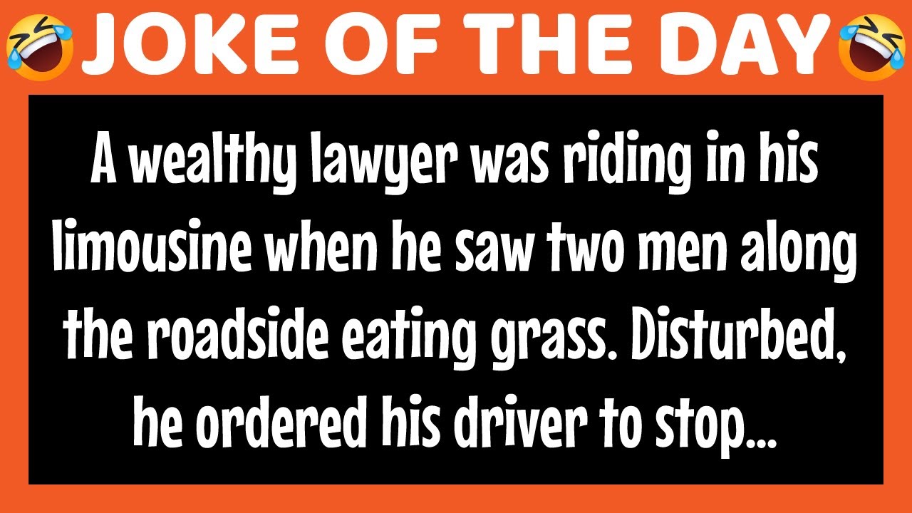 Daily Jokes - A lawyer was riding in his limousine when he saw two men ...