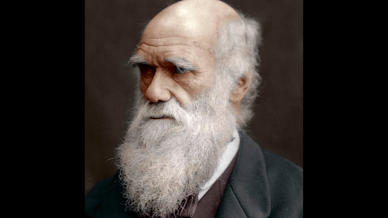 L’évolution biologique – Printemps des Sciences 2021 – Région Bruxelloise