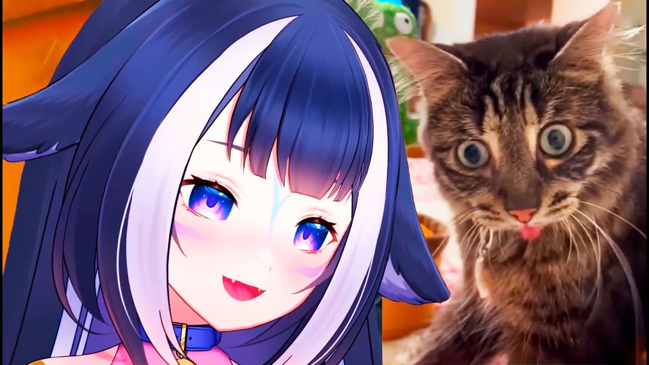 Shylily Vtuber React To Memes - YouTube
