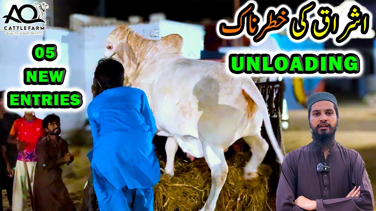Ishraq ki Khatarnaak UNLOADING😮 TAAKRA like India vs Pakistan War ...