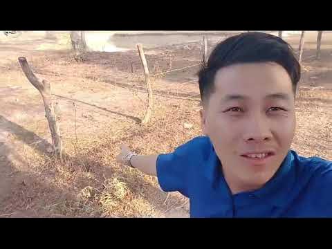 Mus Saib Liaj Nawb 01/18/2025 - YouTube