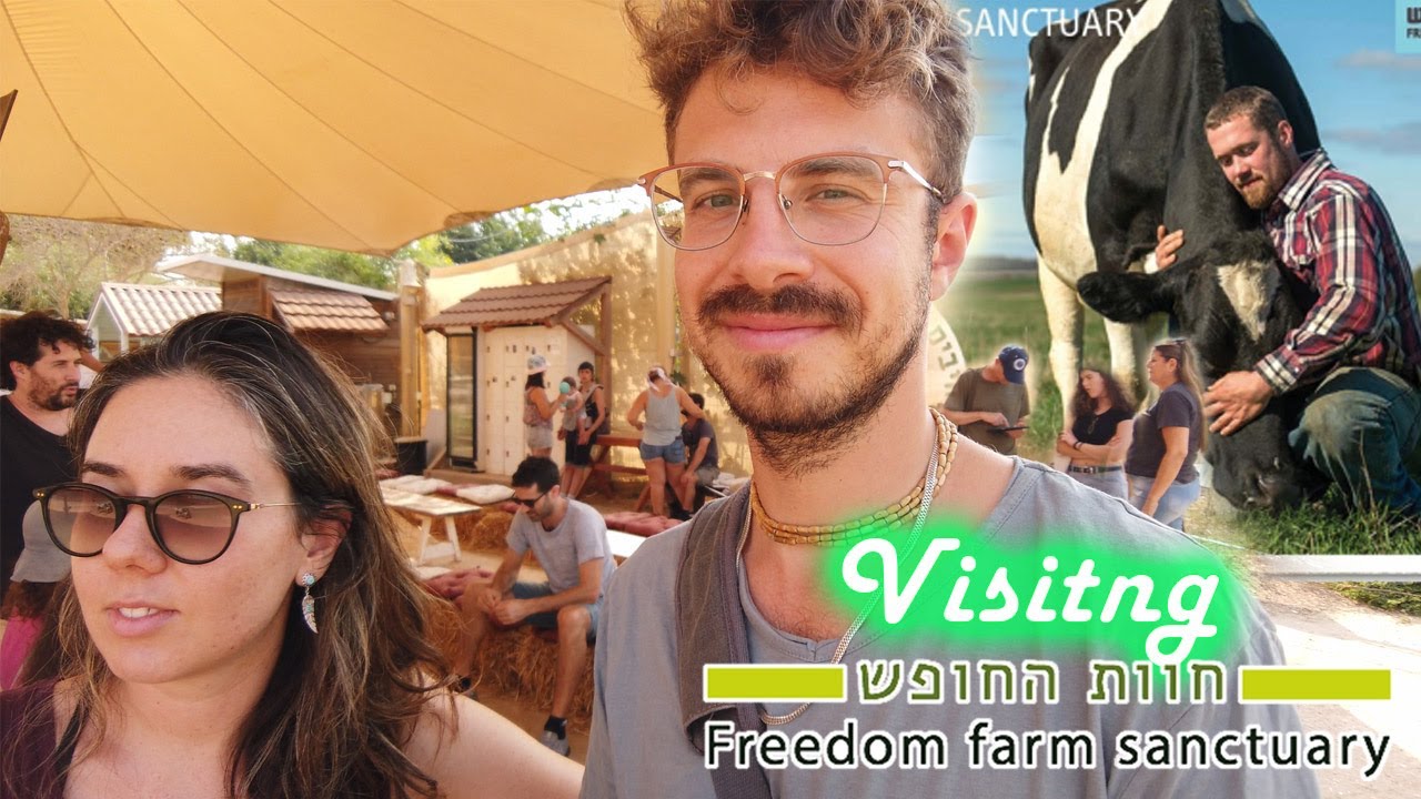 Freedom Farm - Animal Sanctuary In Israel - YouTube