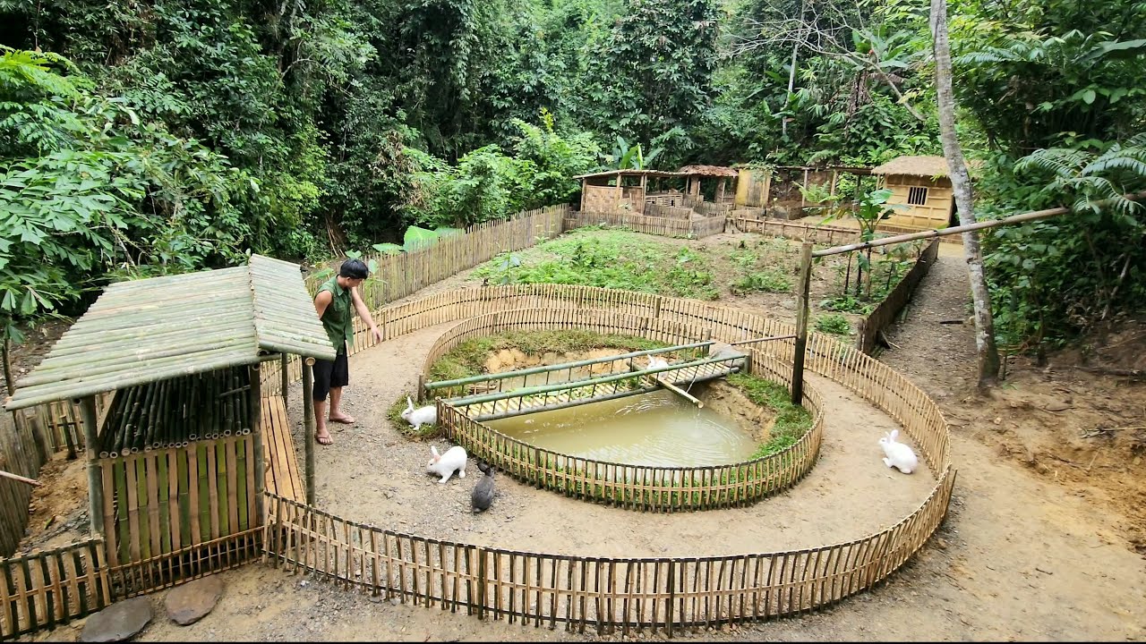FULL VIDEO: 365 Days Alone Build A Warm And Build A Farm, Furniture ...