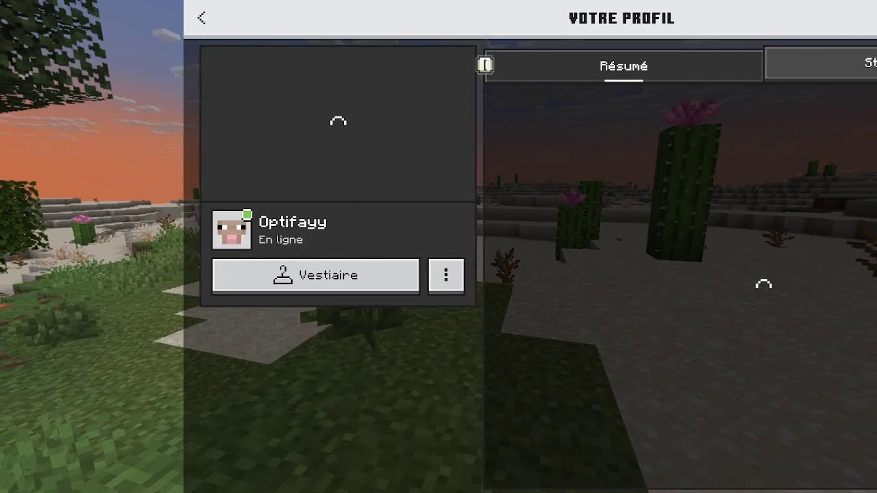 minecraft avec mon pote play je suis pc sur mc bedrock - YouTube