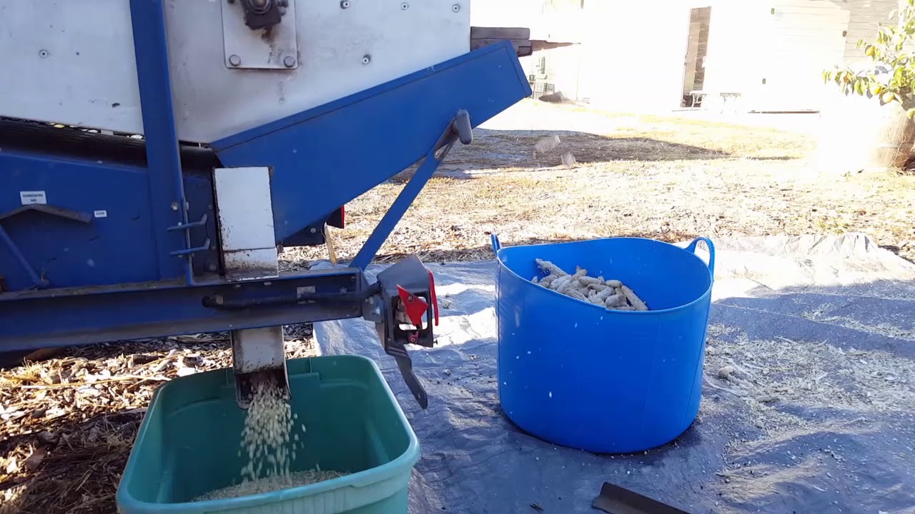 Shelling Popcorn - YouTube