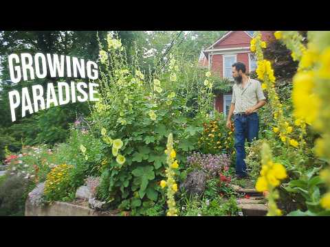 I Transformed a Bare Hillside into the ULTIMATE Cottage Garden