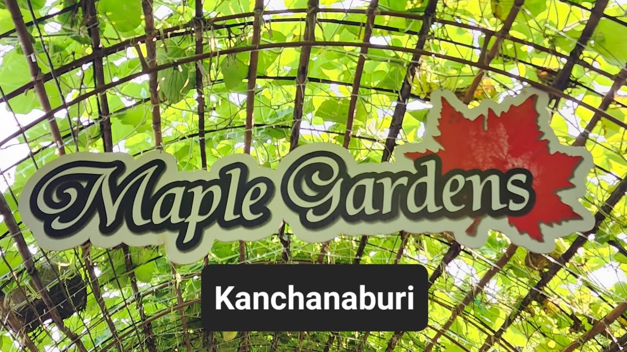 Maple Gardens in Kanchanaburi, Thailand's Enchanting Flower Garden # ...