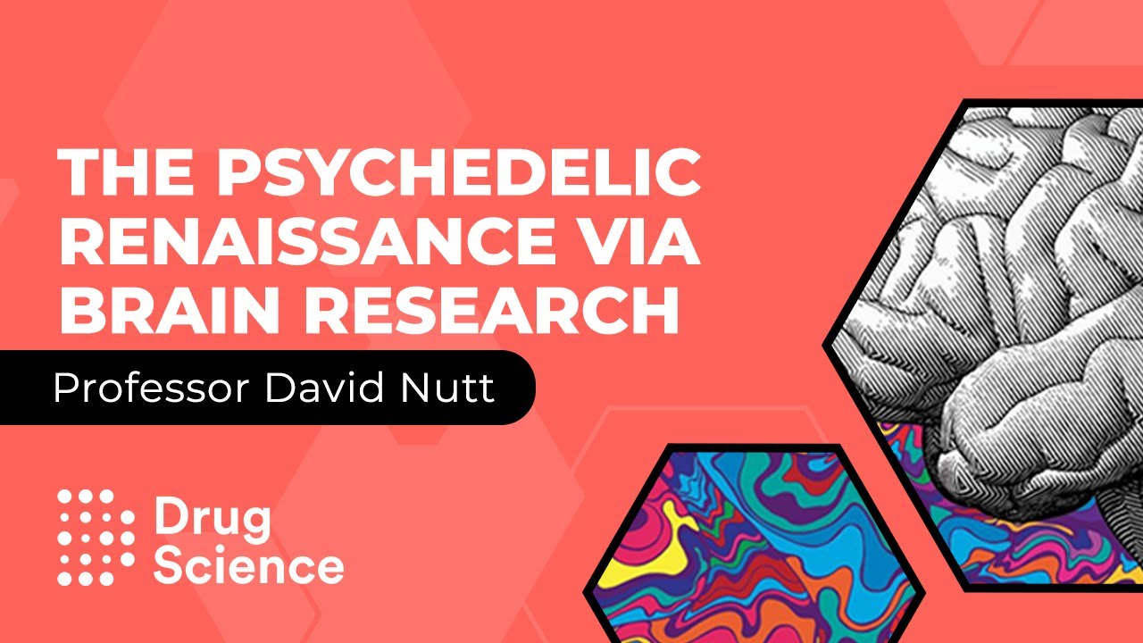The Psychedelic Renaissance via Brain Research - Professor David Nutt ...