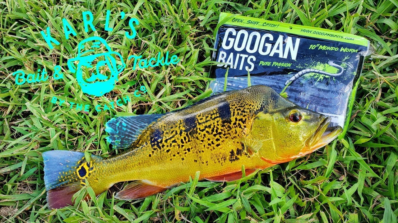 GOOGAN BAITS First Look! They Catch Huge FIsh! - YouTube