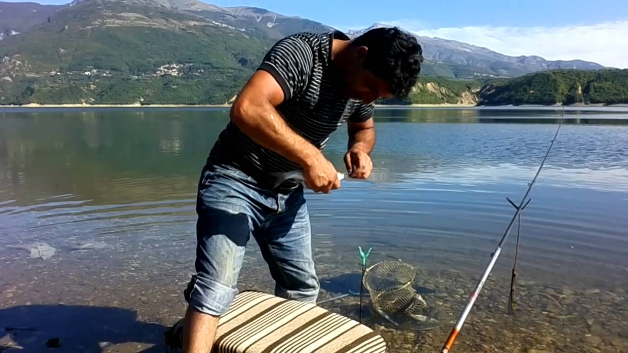 shema ne diber ne akcion me skobal 1 - YouTube