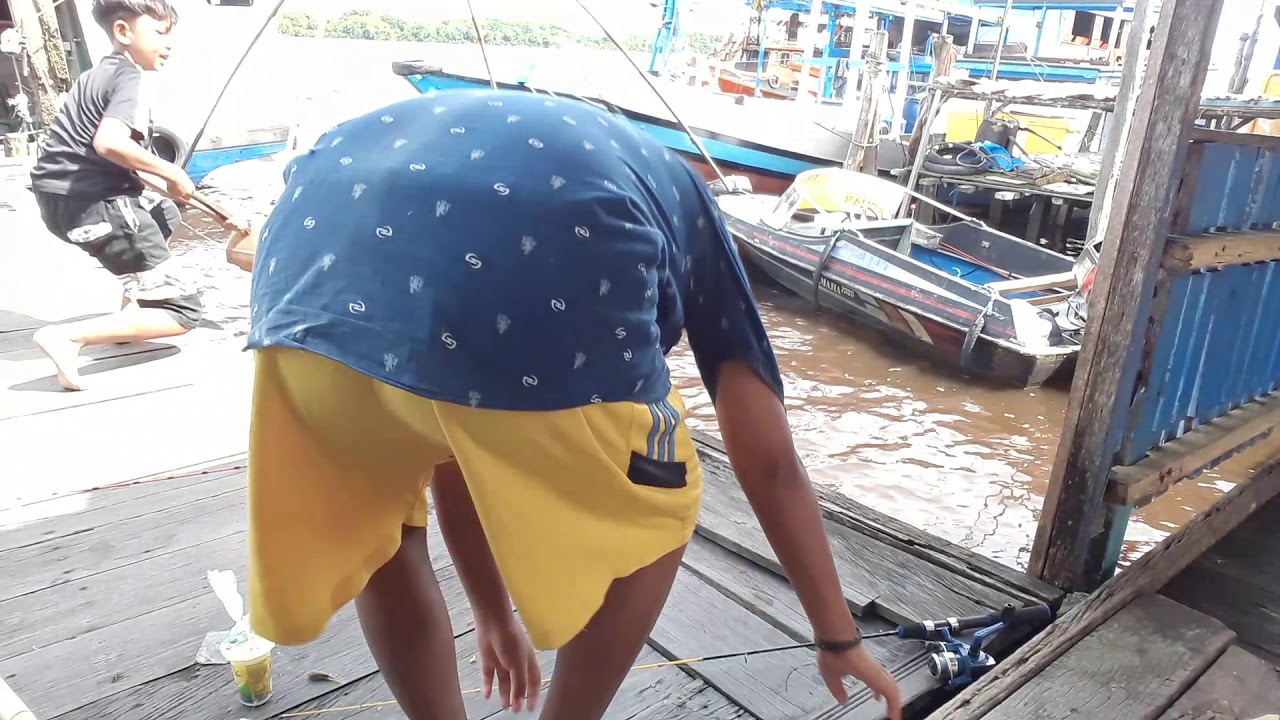 Mancing ikan kiparrrrrrr (kumai fishing) - YouTube