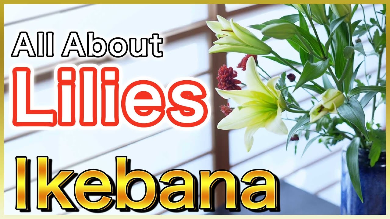 Ikebana Lesson | Tips on Arranging Lilies! | Try this and You'll Be ...
