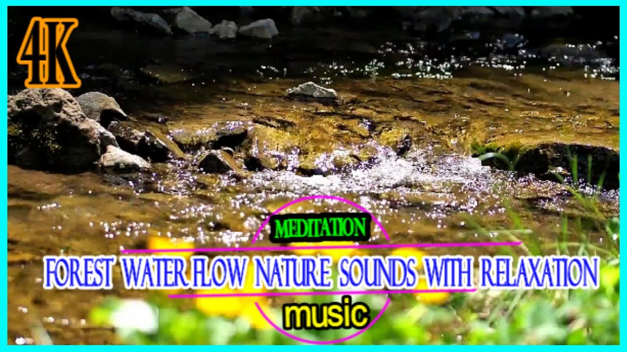 River Water Flow Sounds With Birds: Water Sounds for Sleeping baby 1 ...