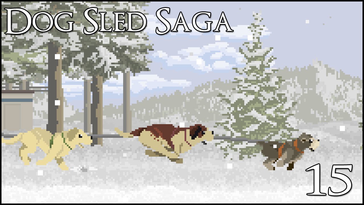 Professor the Schnauzer's First Race!! || Dog Sled Saga - Episode #15 ...