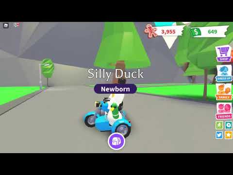 Blue Rider Showcase Adopt Me - YouTube