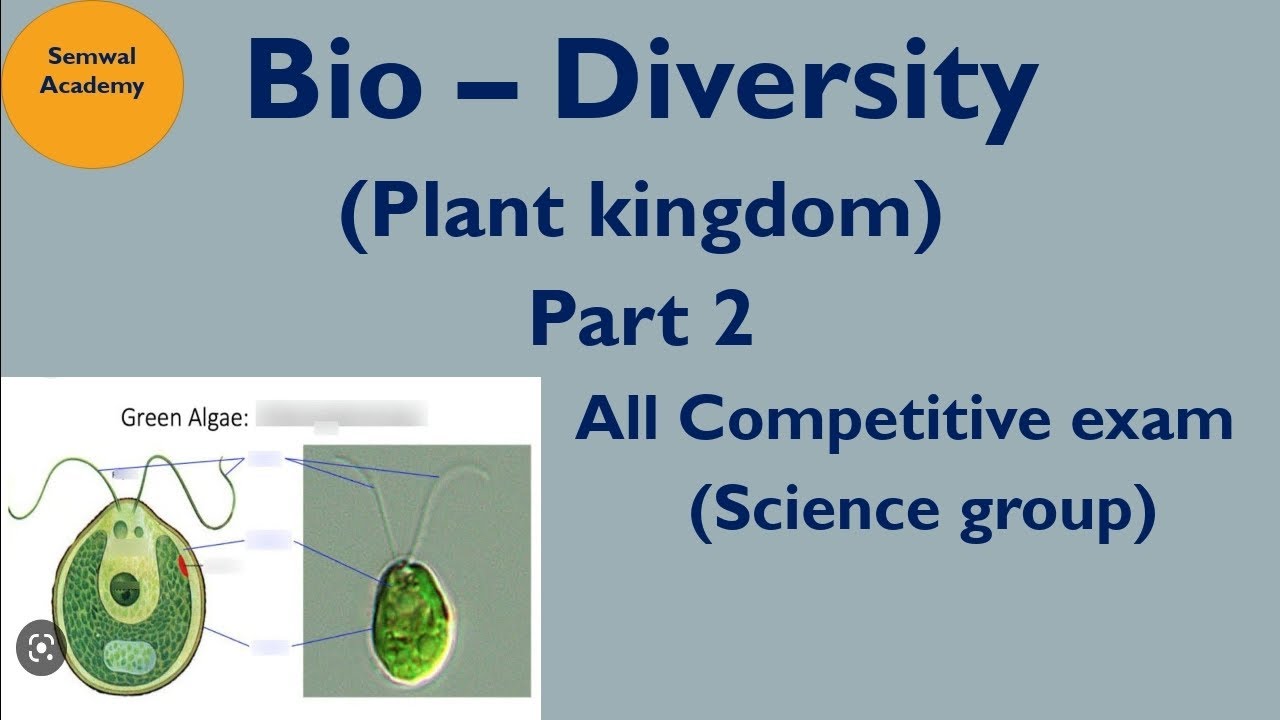Bio - Diversity (plant kingdom) part 2 #science #biology - YouTube
