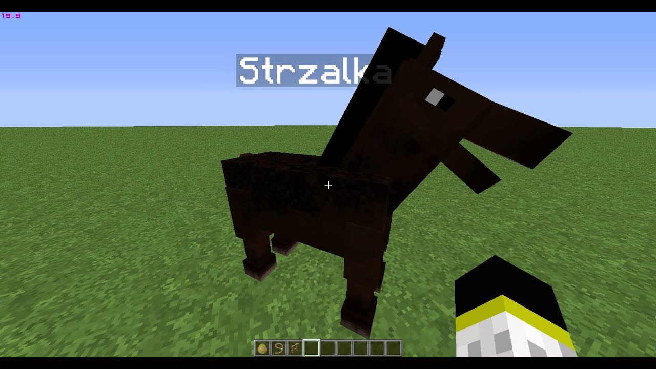 Minecraft 1.6.2 Jak Nazwać Konia - YouTube