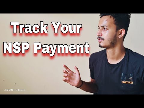 How To Track Your NSP Payment / PFMS Payment Check - By Yr Helper - YouTube