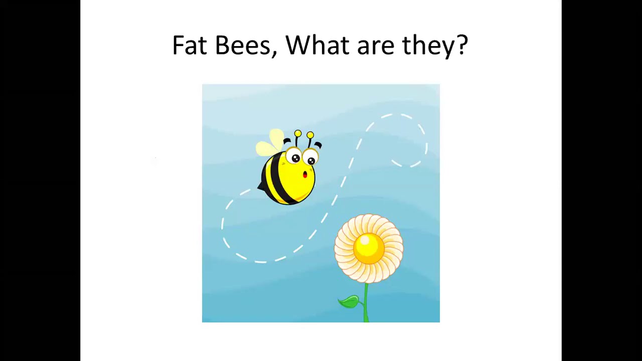 "Fat Winter Bees" with Tina Sebestyen - YouTube