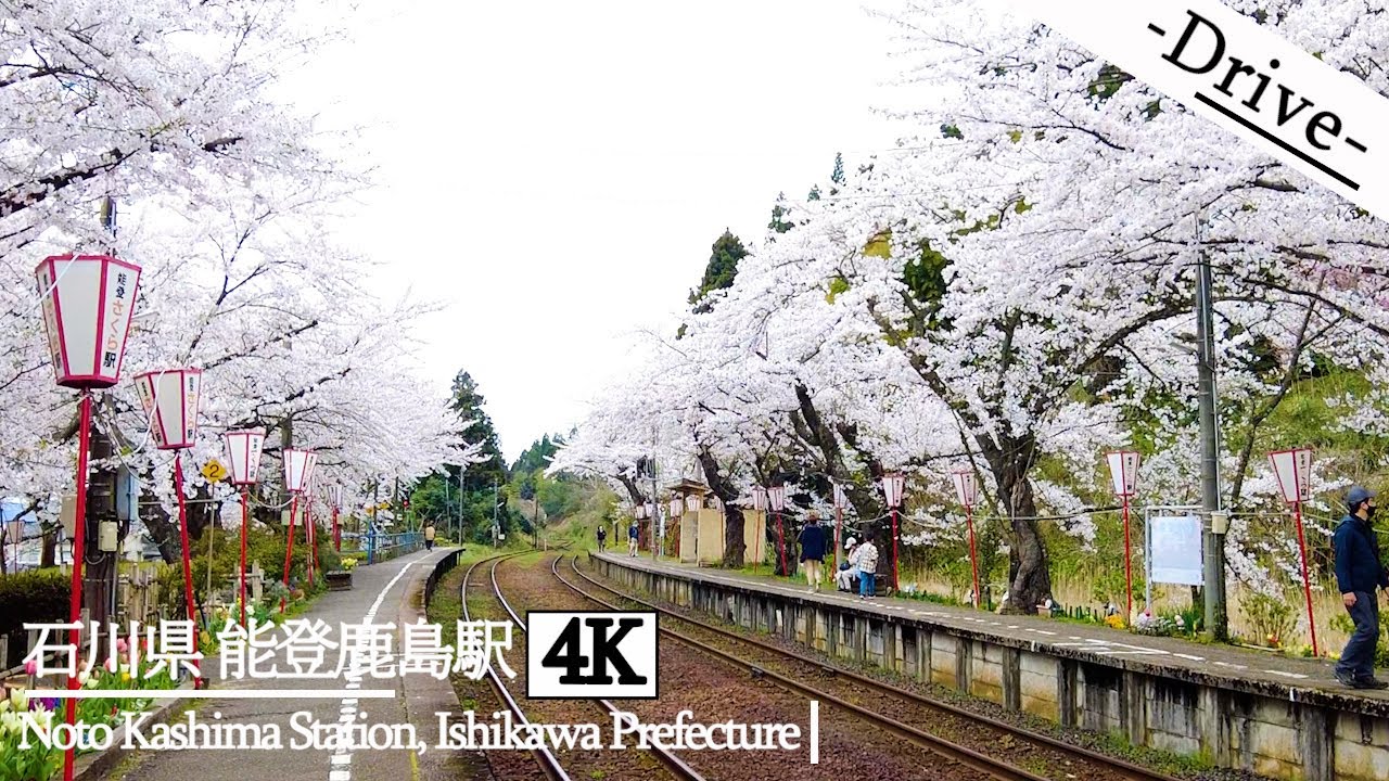 【ドライブ 4K】桜満開の名所！！石川県 能登鹿島駅へ【Drive 4K】To Noto Kashima Station, Ishikawa ...