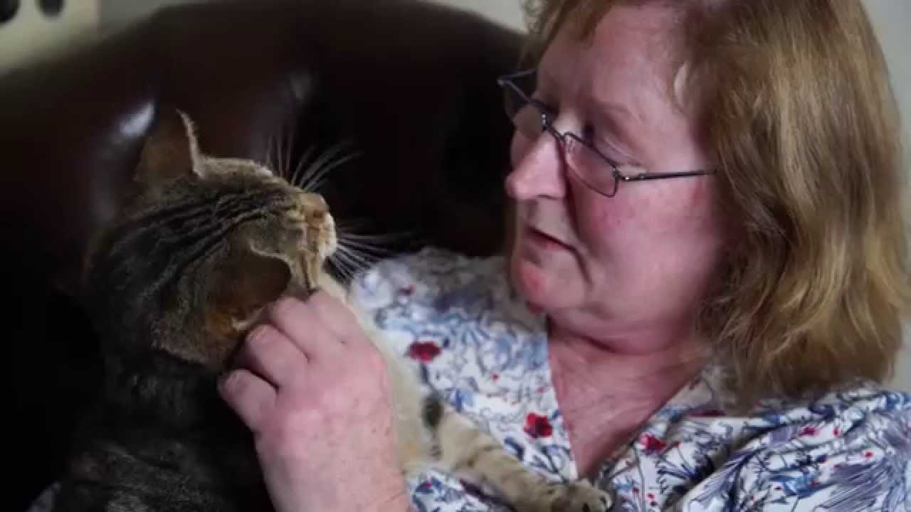 RSPCA Queensland's Pet Legacy Program - YouTube