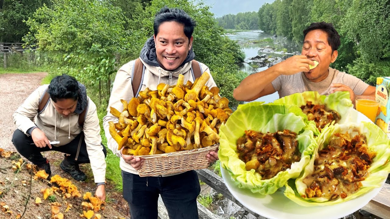 PICK, COOK & EAT! WILD MUSHROOMS! CHANTERELLES!!! MUSHROOM FORAGING ...
