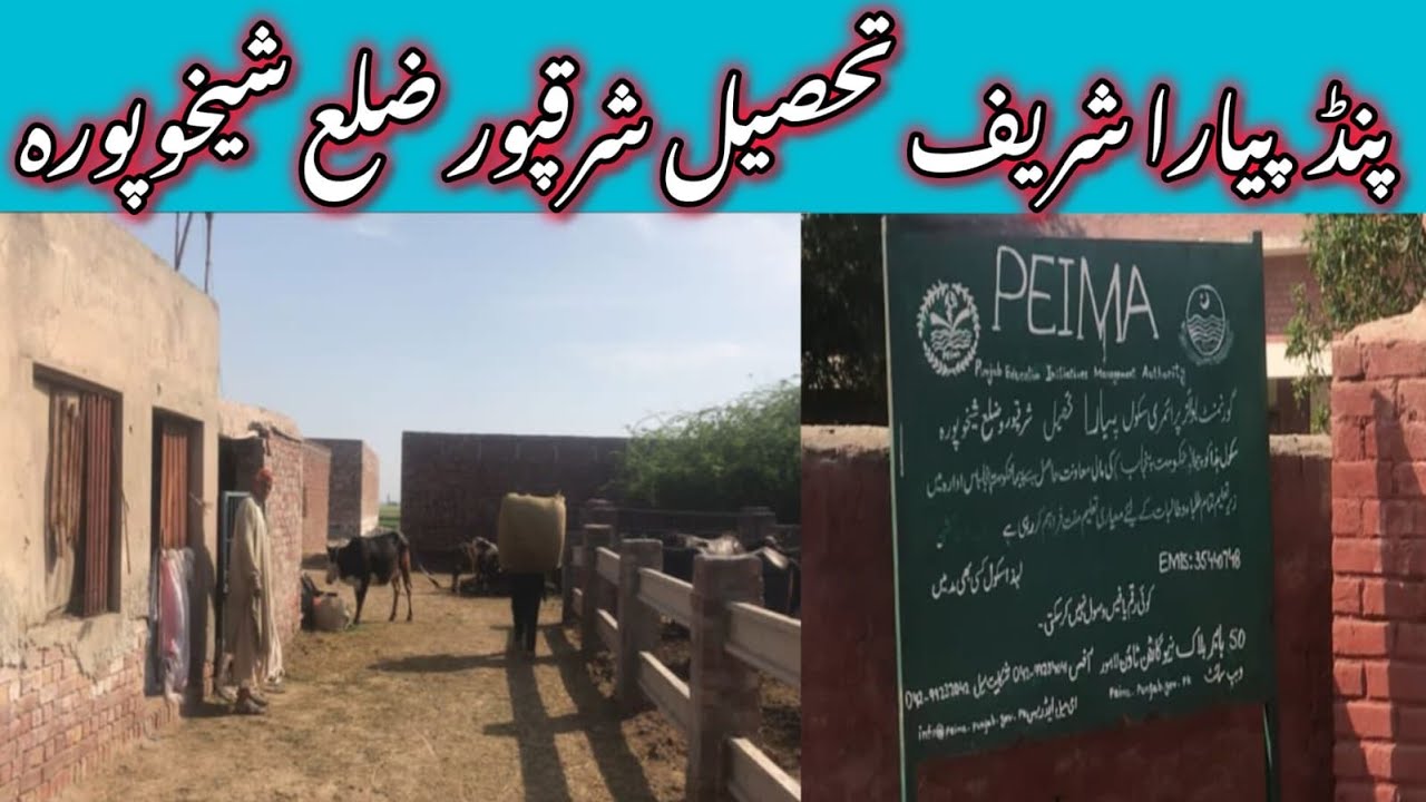 Historical village PiND Payara sharif sheikhupura pakistan - YouTube